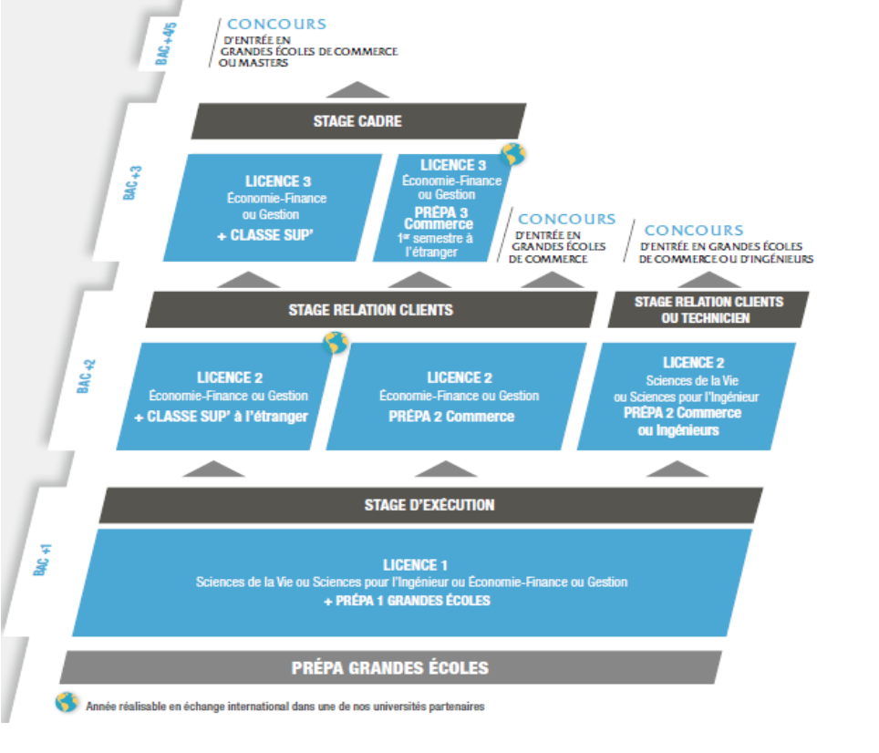 Catho de Lille Prépa | Eurêka Study, Conseil et Coaching Orientation Scolaire