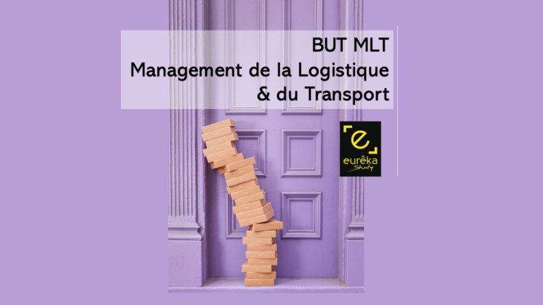 BUT Logistique et transport MLT | Eurêka Study, Conseil et Coaching ...